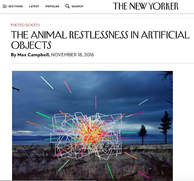 Thomas Jackson Photography