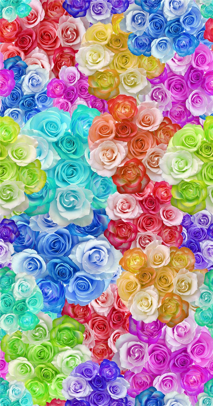 NATURAL COLLAGE_Flower Design_Digital Print_1 | Joy Design Studio