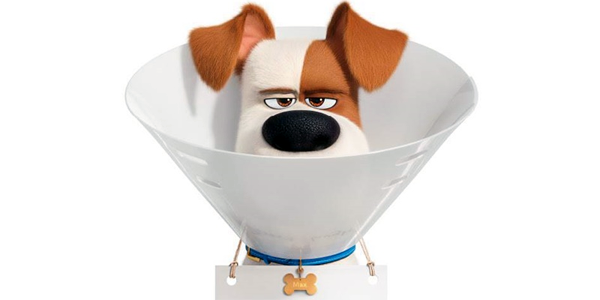 La Vida Secreta de tus Mascotas 2: Universal revela trailer doblado – ANMTV