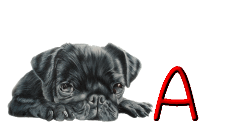 Sweet's Creations: DOG ALPHAS