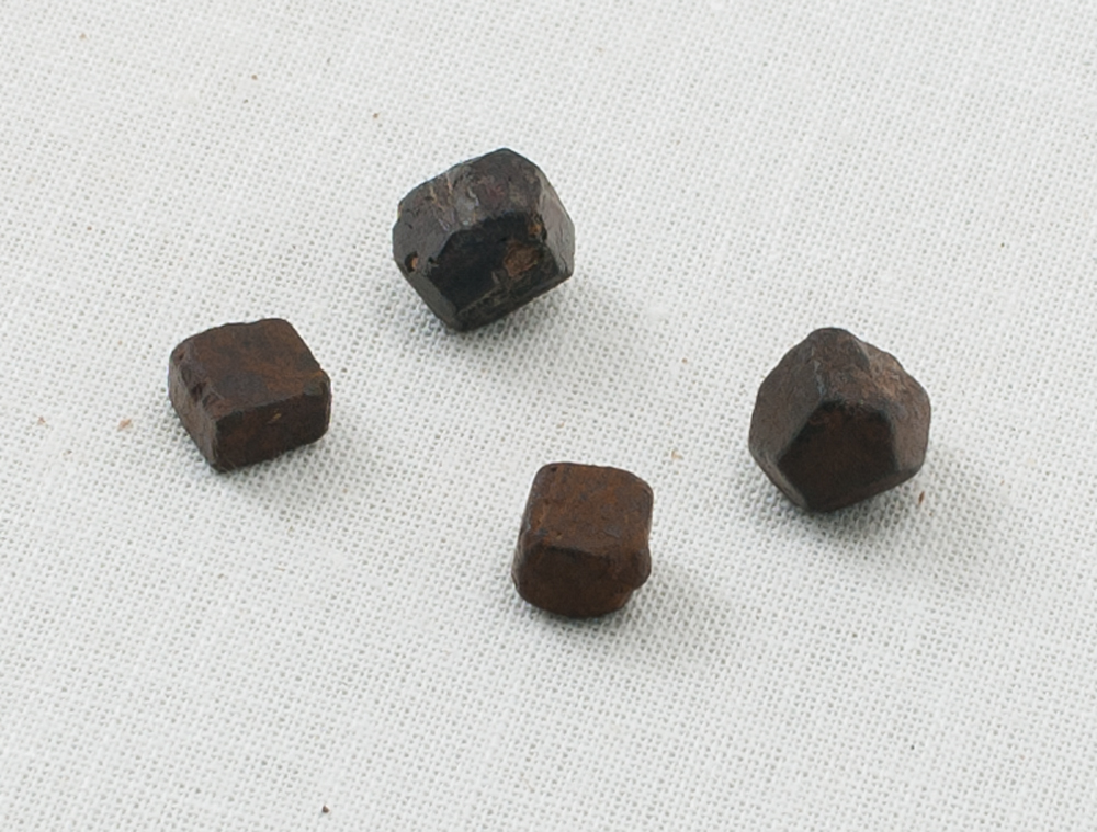 Fossil Hound Exploration: Montana Pseudomorphs