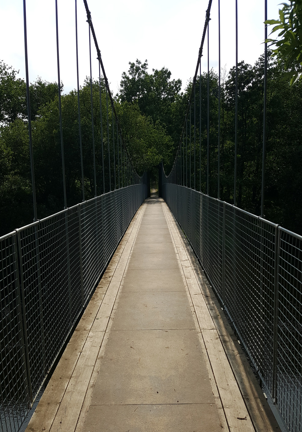 The Happy Pontist: Welsh Bridges: 13. Llandeilo Suspension Bridge