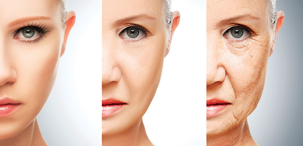 Body care and fitness: Preventing Skin Dark Spot Formation and Photoaging