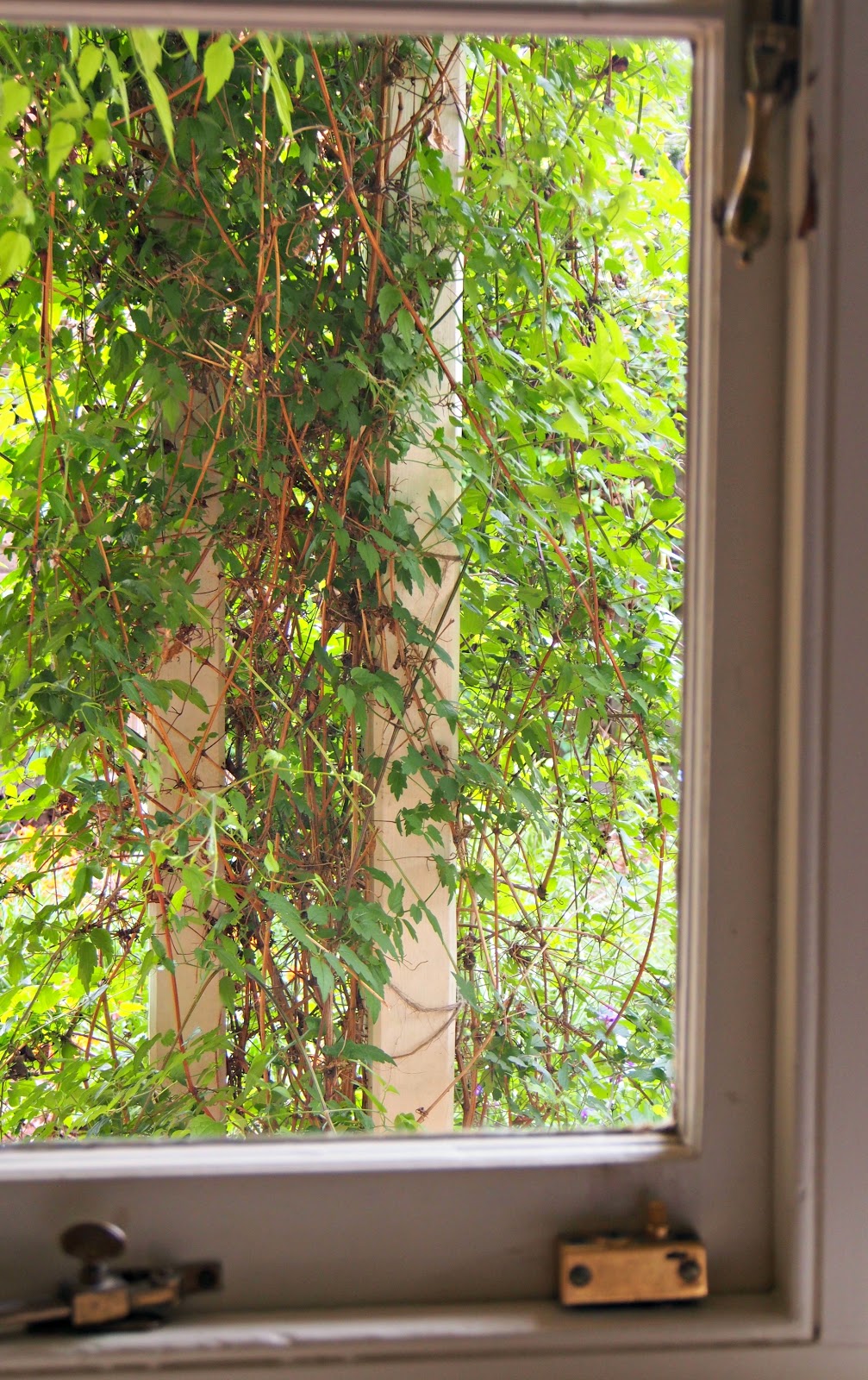 scene from a window