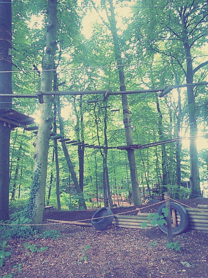 European Adventure: Tree2Tree