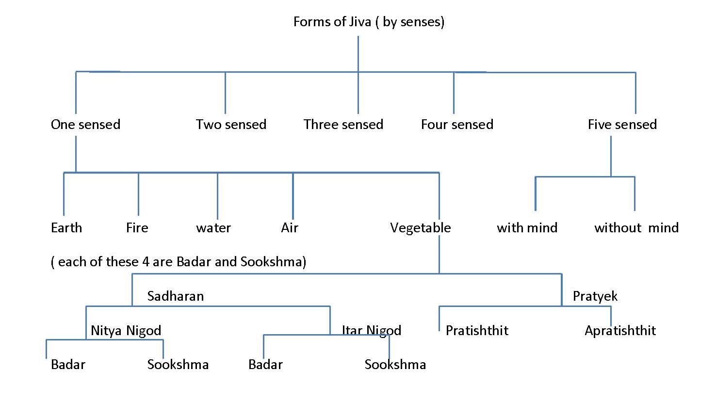 Jainism: 14 Marganas : 3. Kaya Margana