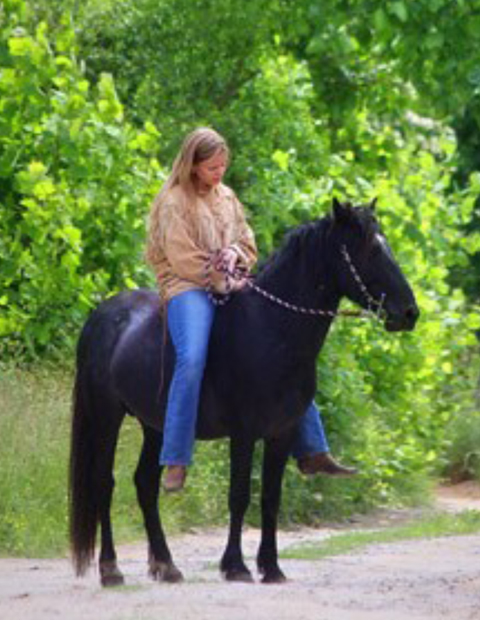Mill Swamp Indian Horse Views: Preserving the Banker Horses Through The ...