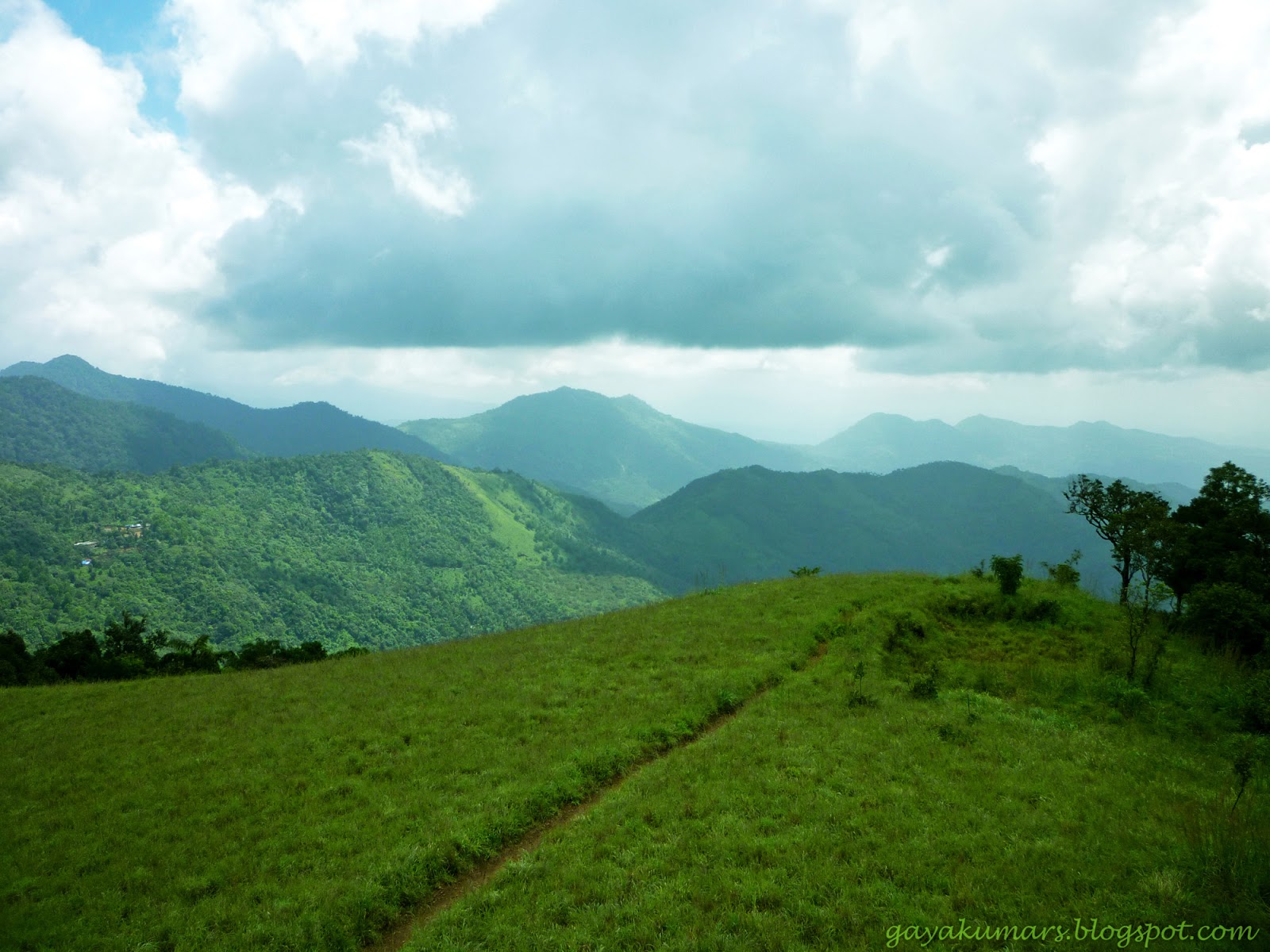 A Trip To PaithalMala: PaithalMala / Vaithalmala