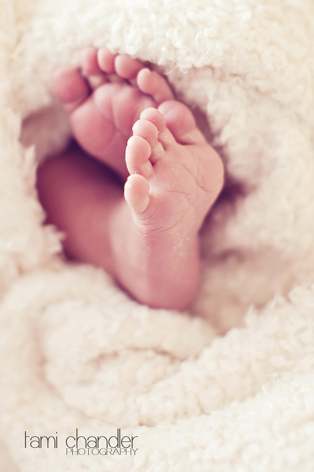 Tami Chandler Photography