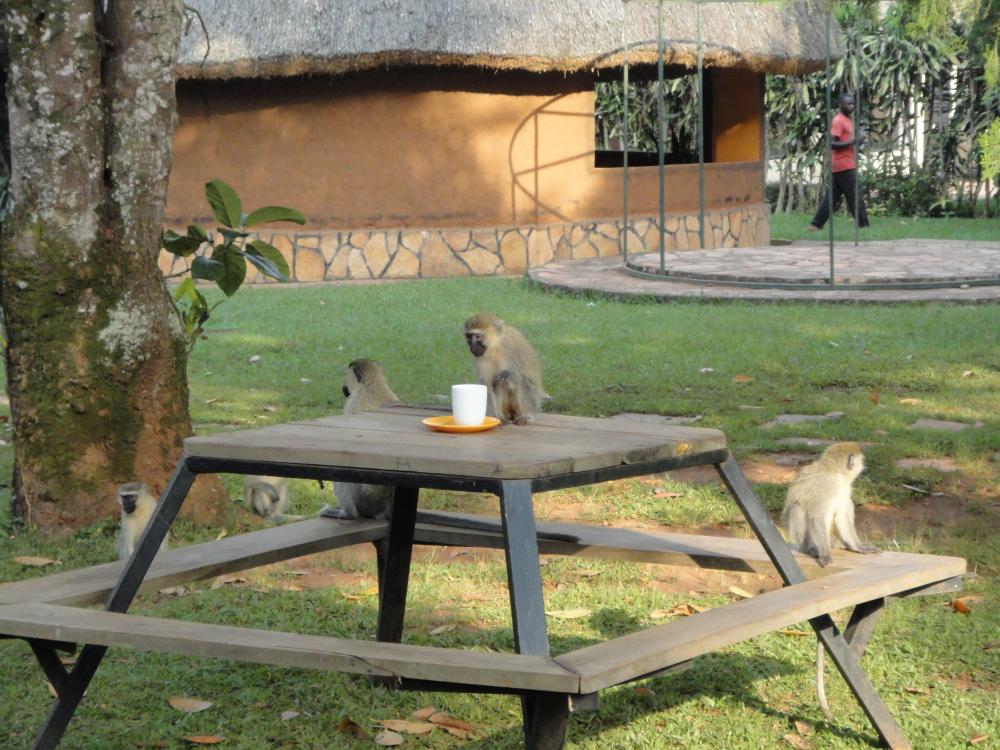 Simon in Uganda: First Impressions