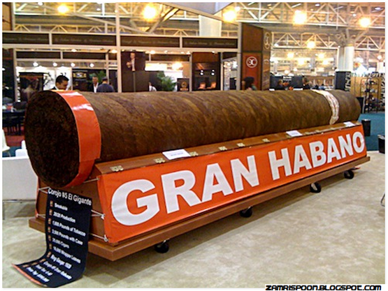 Curut Terbesar di Dunia ~ zamrispoon