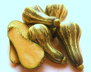 Baby Butternut Squash