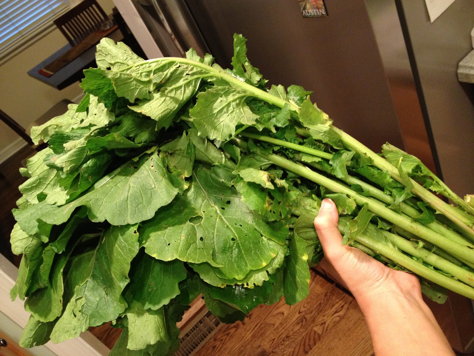 Mad About Food: Salads and Giant Turnips