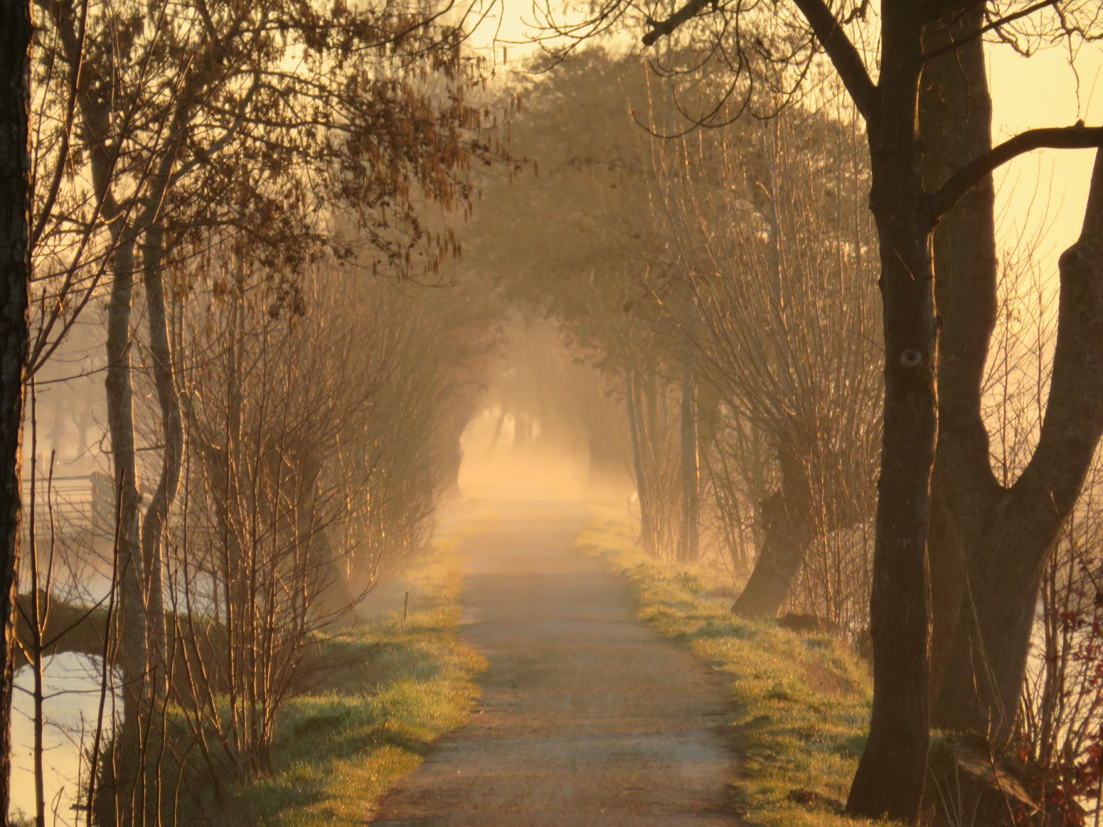 God is in de stilte: Gekleurde mist