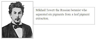 History of Chromatography
