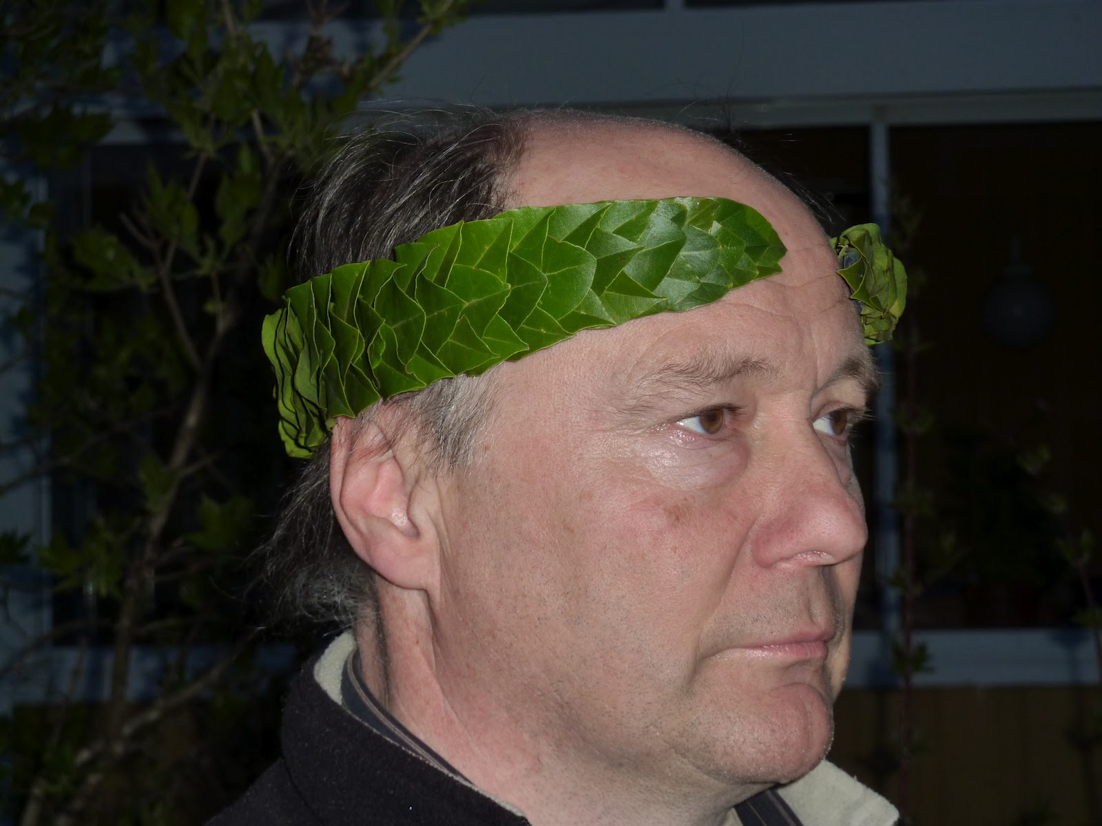 Lenas trädgård: Lagerkransar