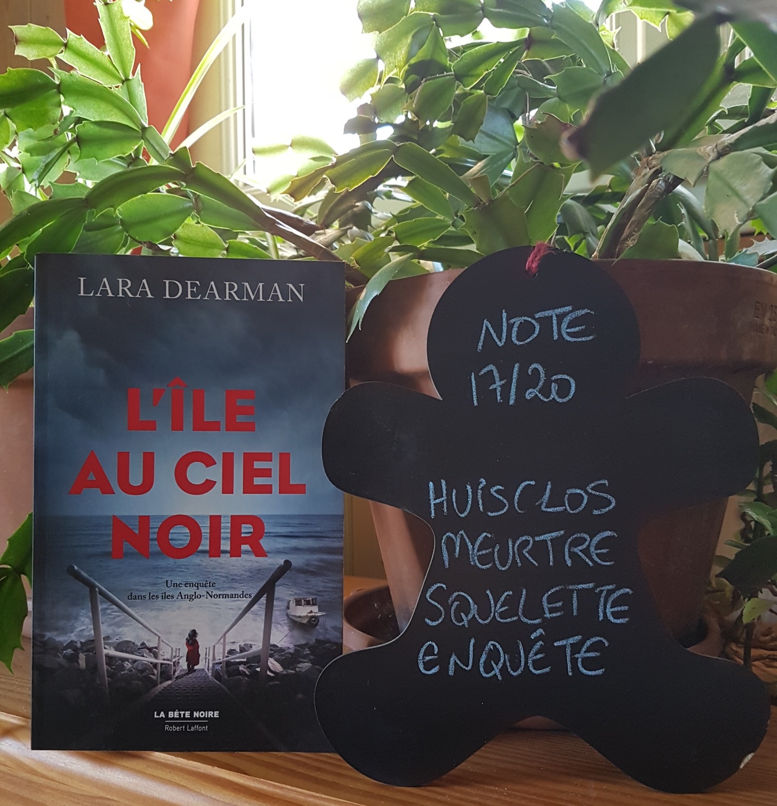 Les lectures de Mylène: L'Île au Ciel Noir de Lara Dearman