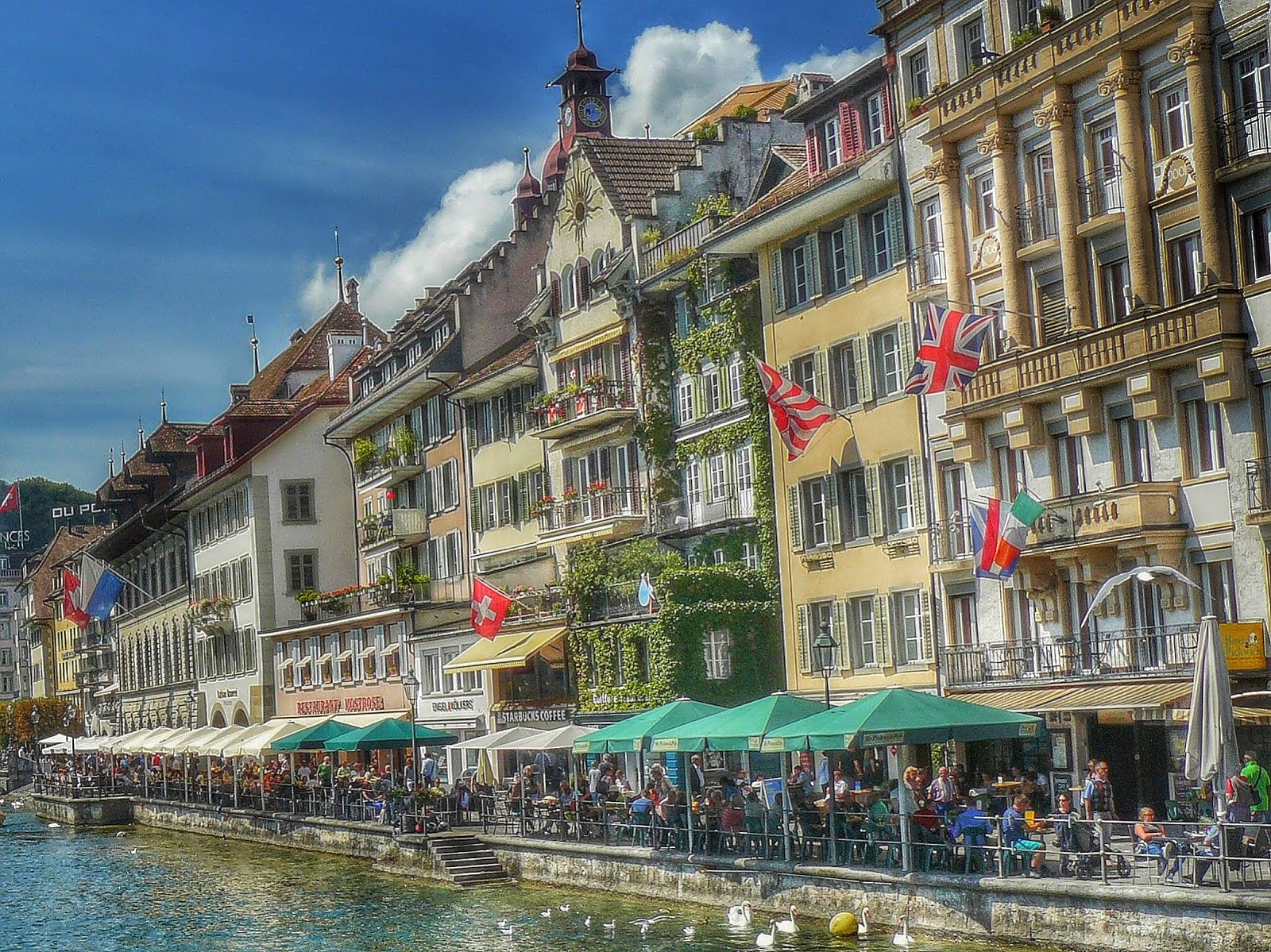 Czy w Lucernie rośnie lucerna?