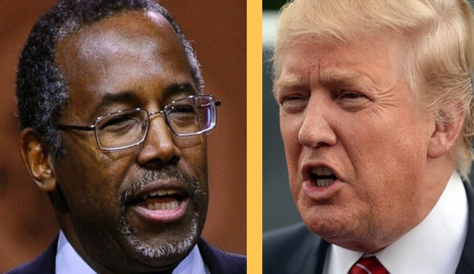 The Pathology Party: Carson's Habitual Lying and Trump's Narcissism ...