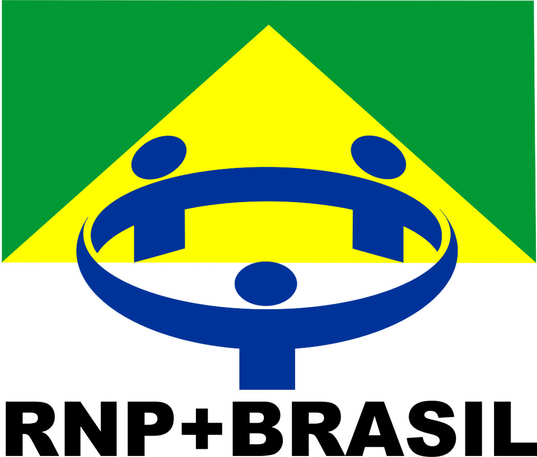 RNP+RS: CARTA DE PRINCIPIOS DA RNP+BRASIL