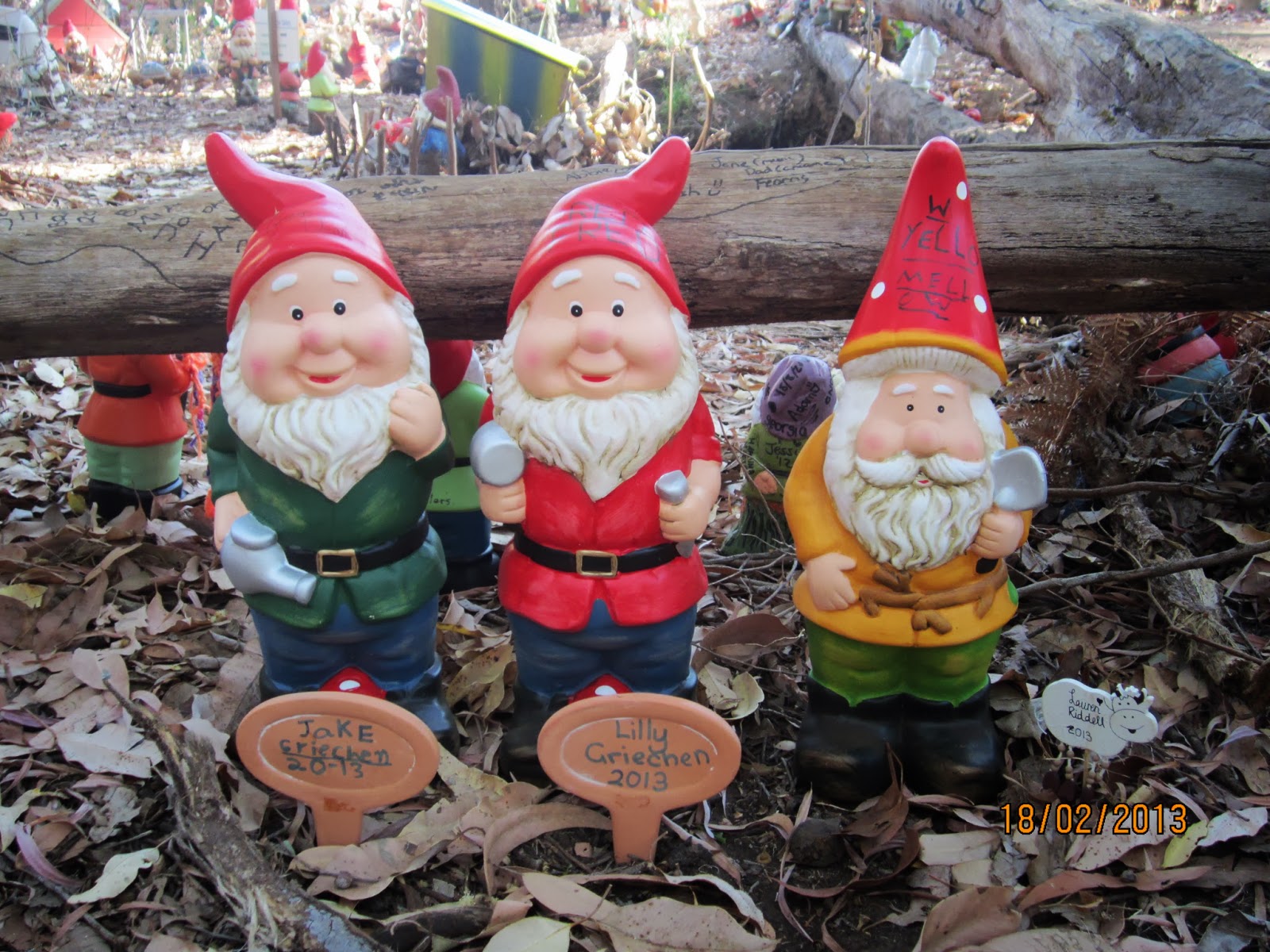 All Aboard the Mothership: 18 February 2013 - Gnomesville WA