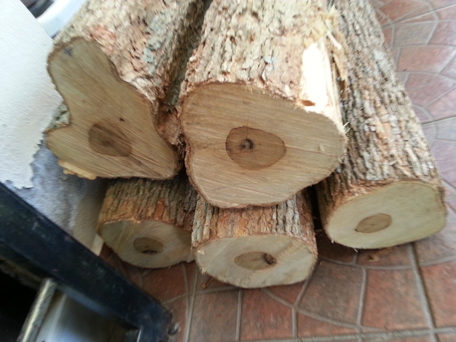 Kayu Warisan Malaysia: Kayu kemuning emas untuk dijual