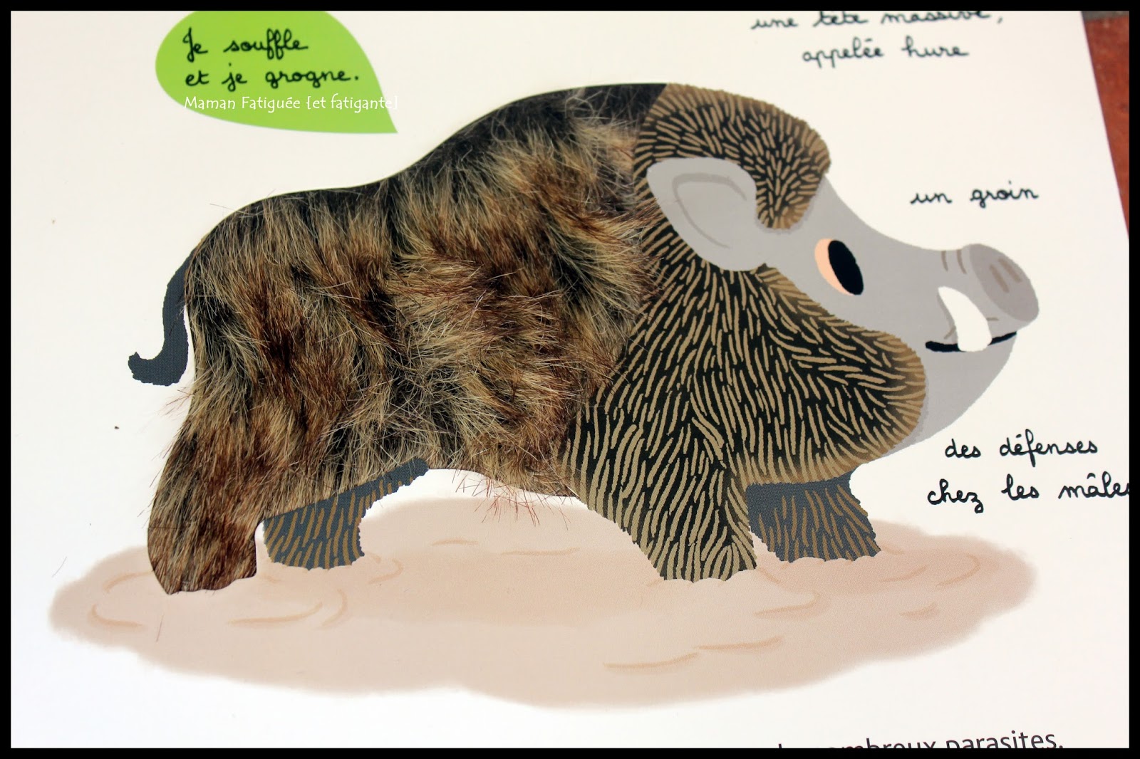 Mes animaux de la forêt à toucher - Maman Fatiguée {et Fatigante}