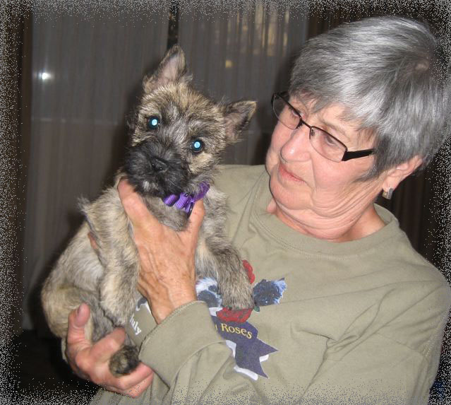 Holy Terrier Dog: Playing Catch-Up After Too-Long "Sabbatical"