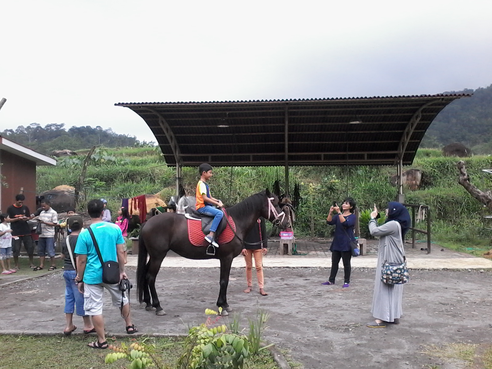 Wisata santosa stable - Warna warni hidup