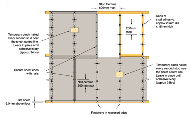 Amazing Facts You Never Knew about the Different Functions and ...