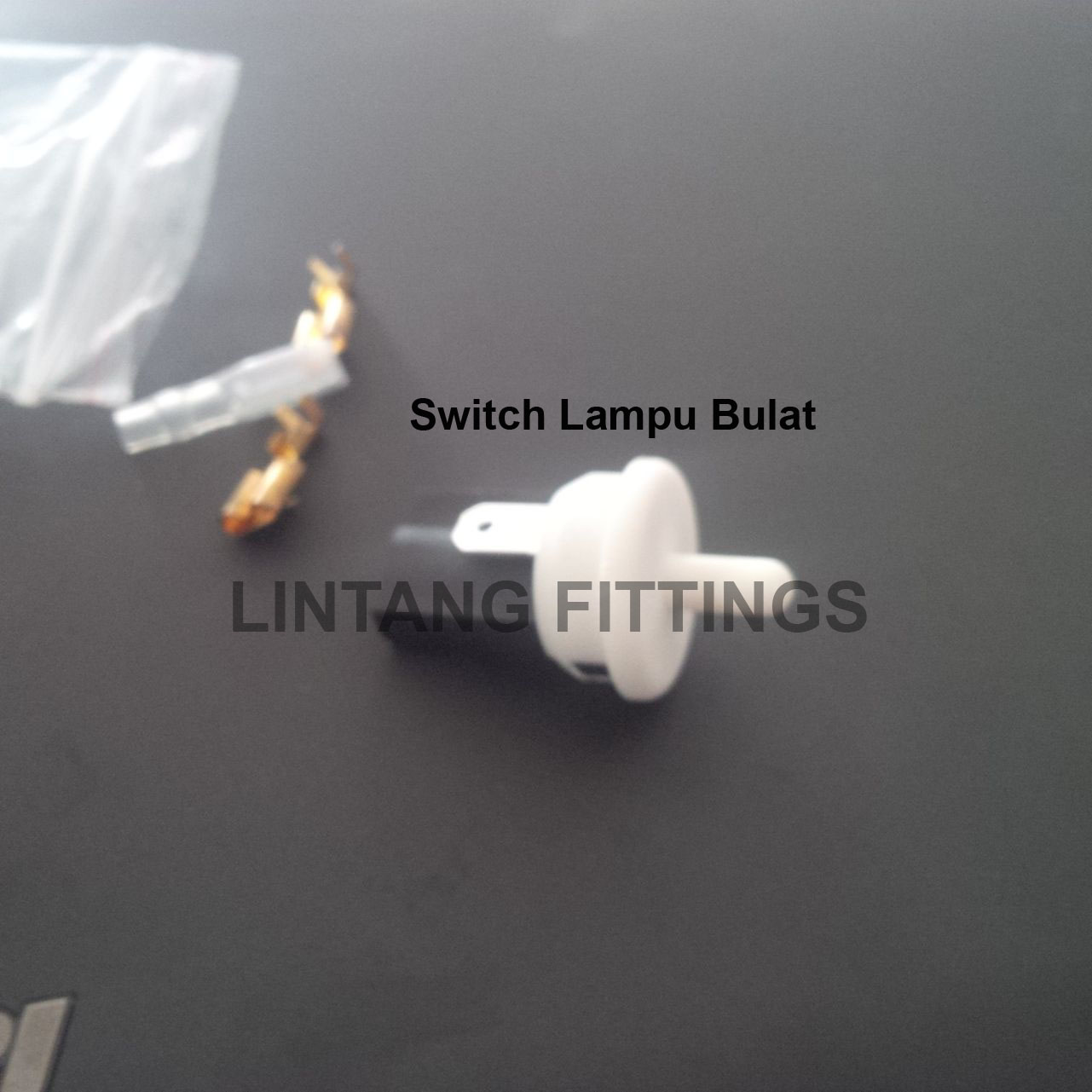 Switch Saklar Lampu Pintu Lemari - Lintang Fittings
