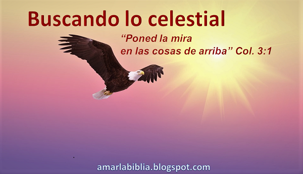 Amar La Biblia: Buscando lo celestial.