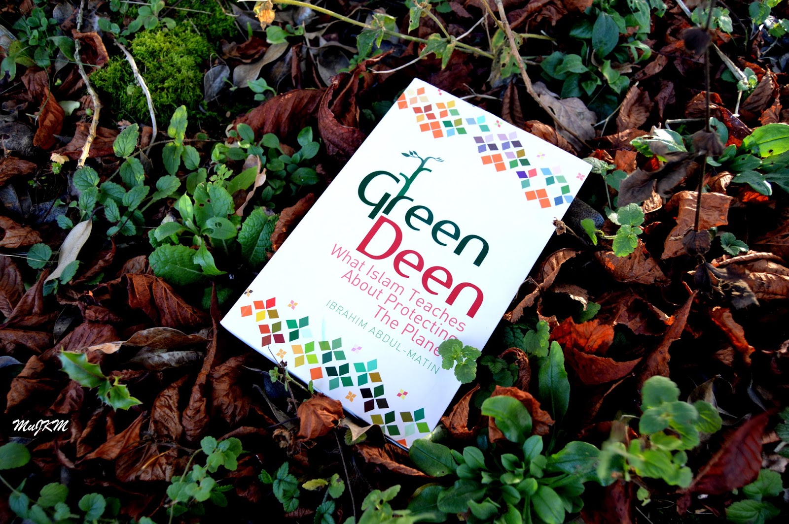 Ibrahim Abdul - Matin "Green Deen: What Islam Teaches About Protecting ...