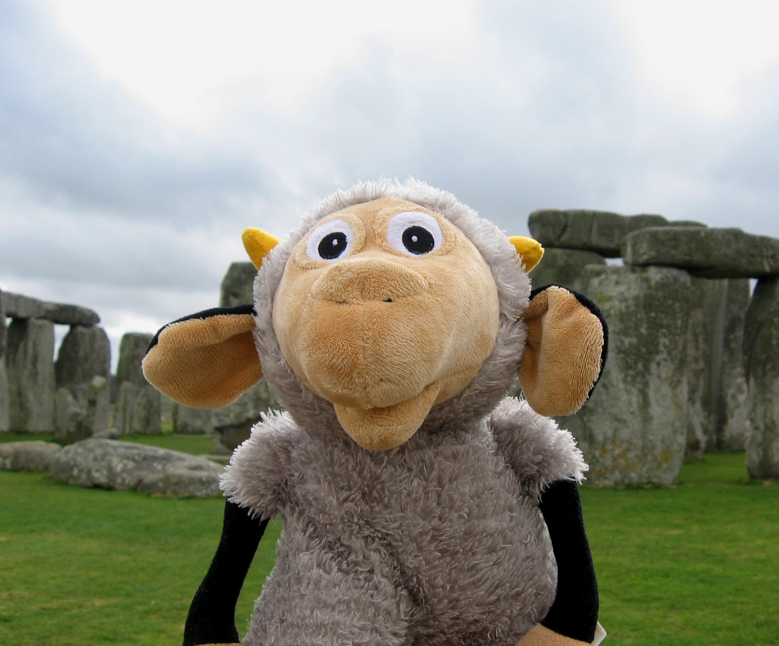 The Quandong Tree: Wiley!