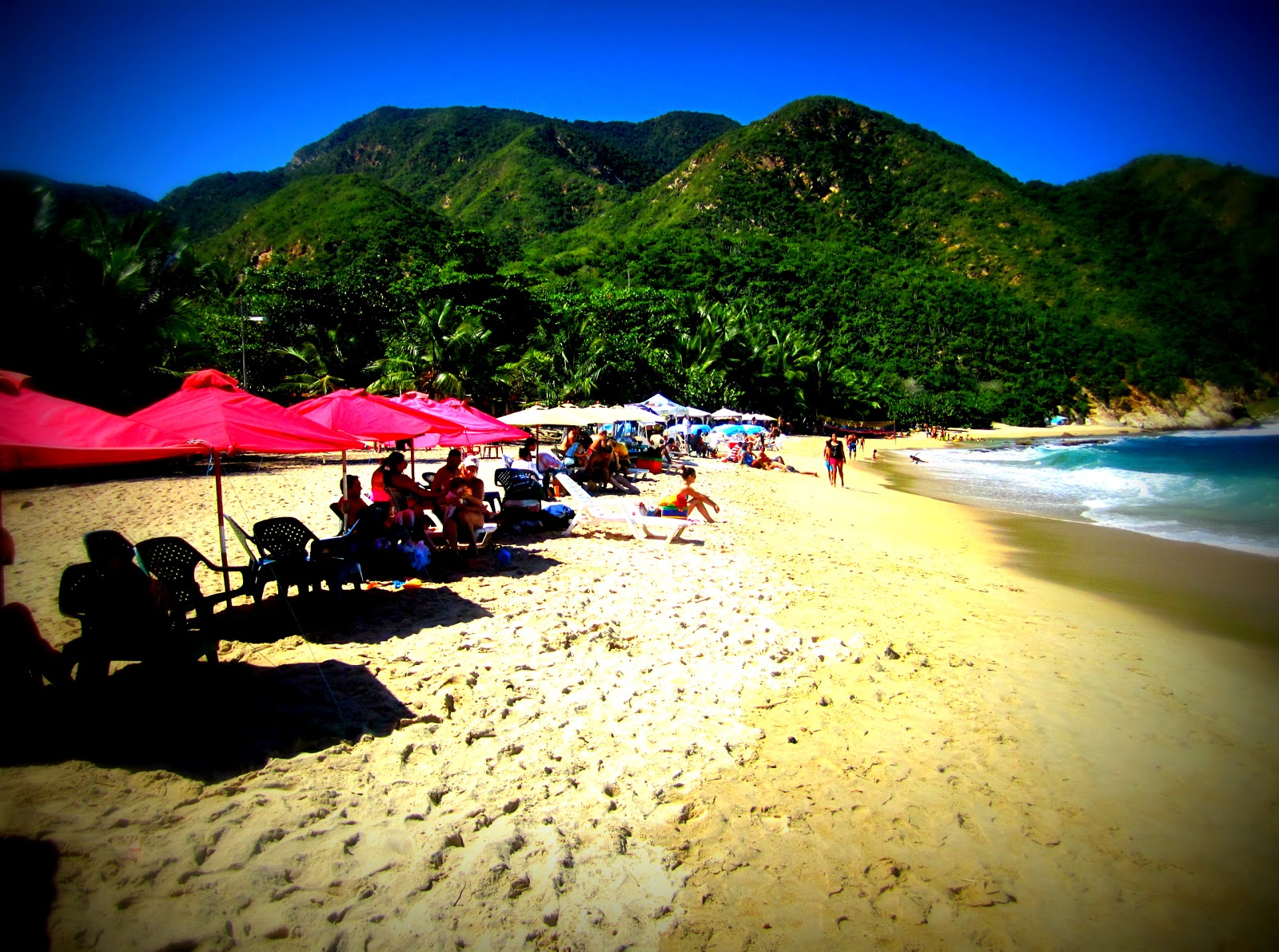 Adventures of MadMich: Surf n’ Turf in Choroni