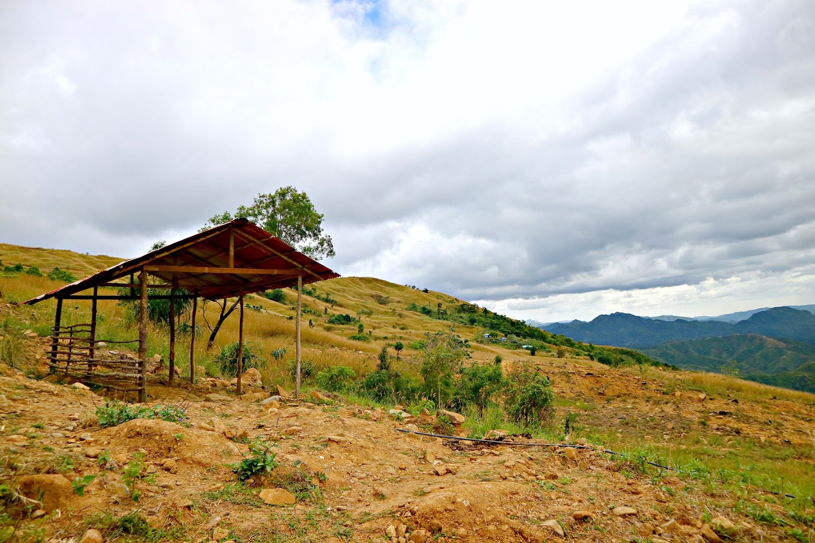 Rodriguez, Rizal: Mt. Balagbag Experience - Living in the Moment
