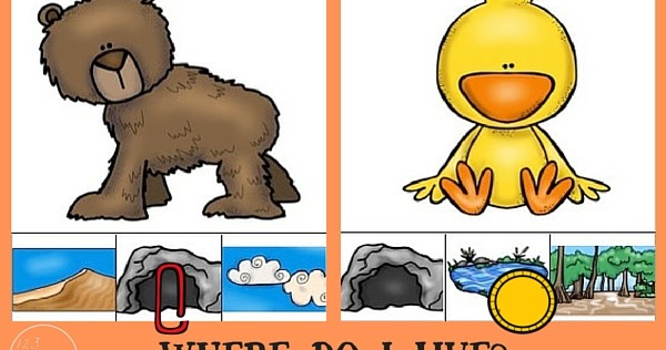 Otras actividades sobre animales que hibernan - Other activities about ...