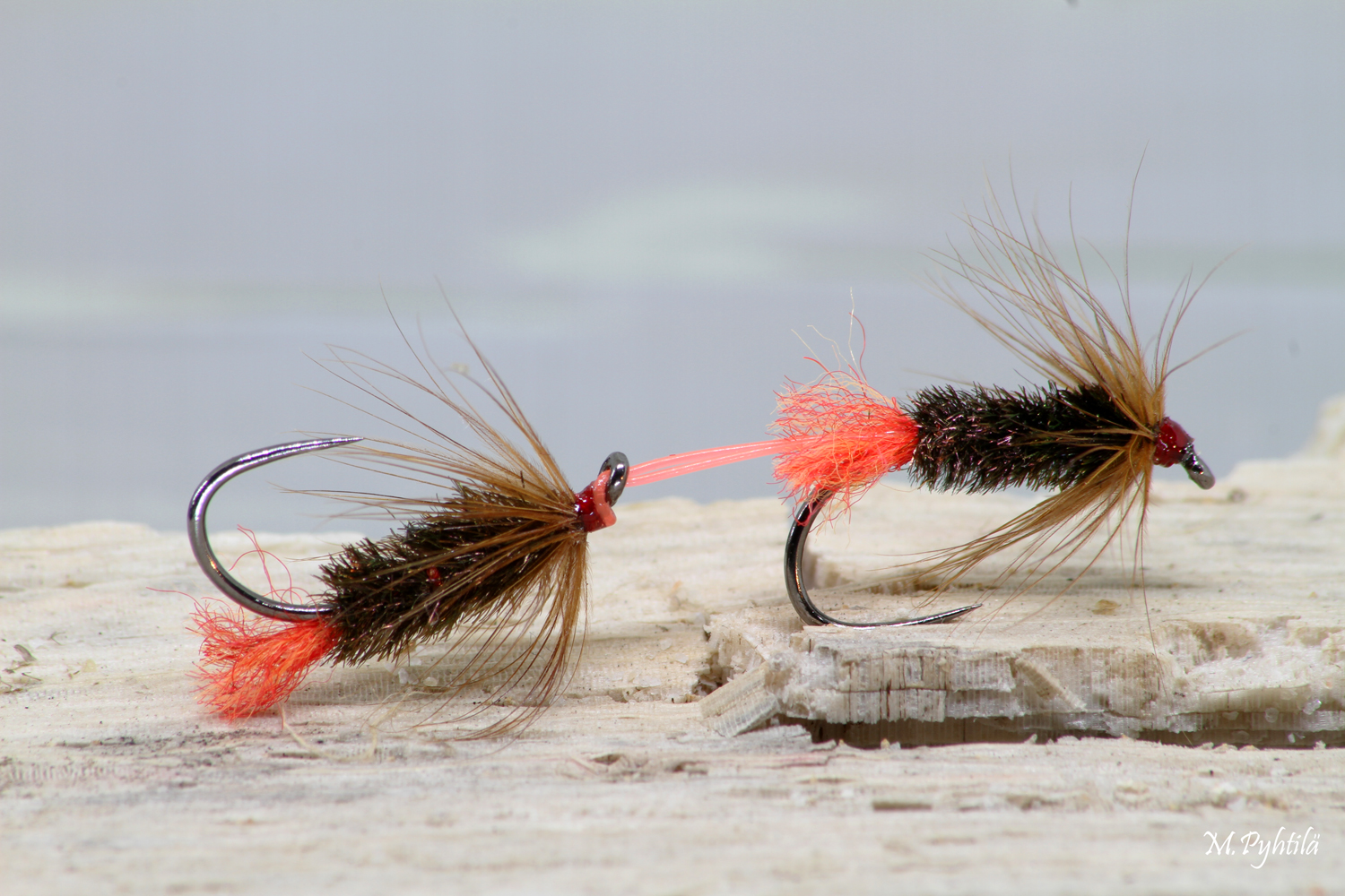 Päiväntasaajan Perhokerho: Worm fly ja muita matoja