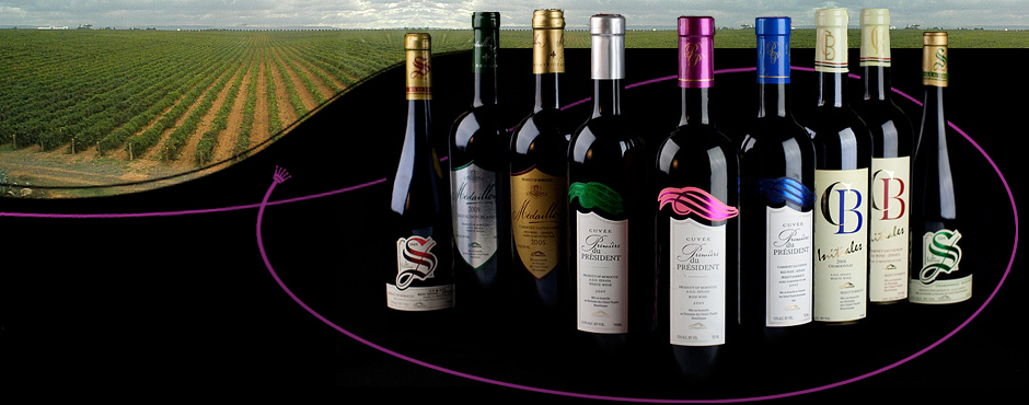 THE VIEW FROM FEZ: Moroccan Wine - A Thriving Industry