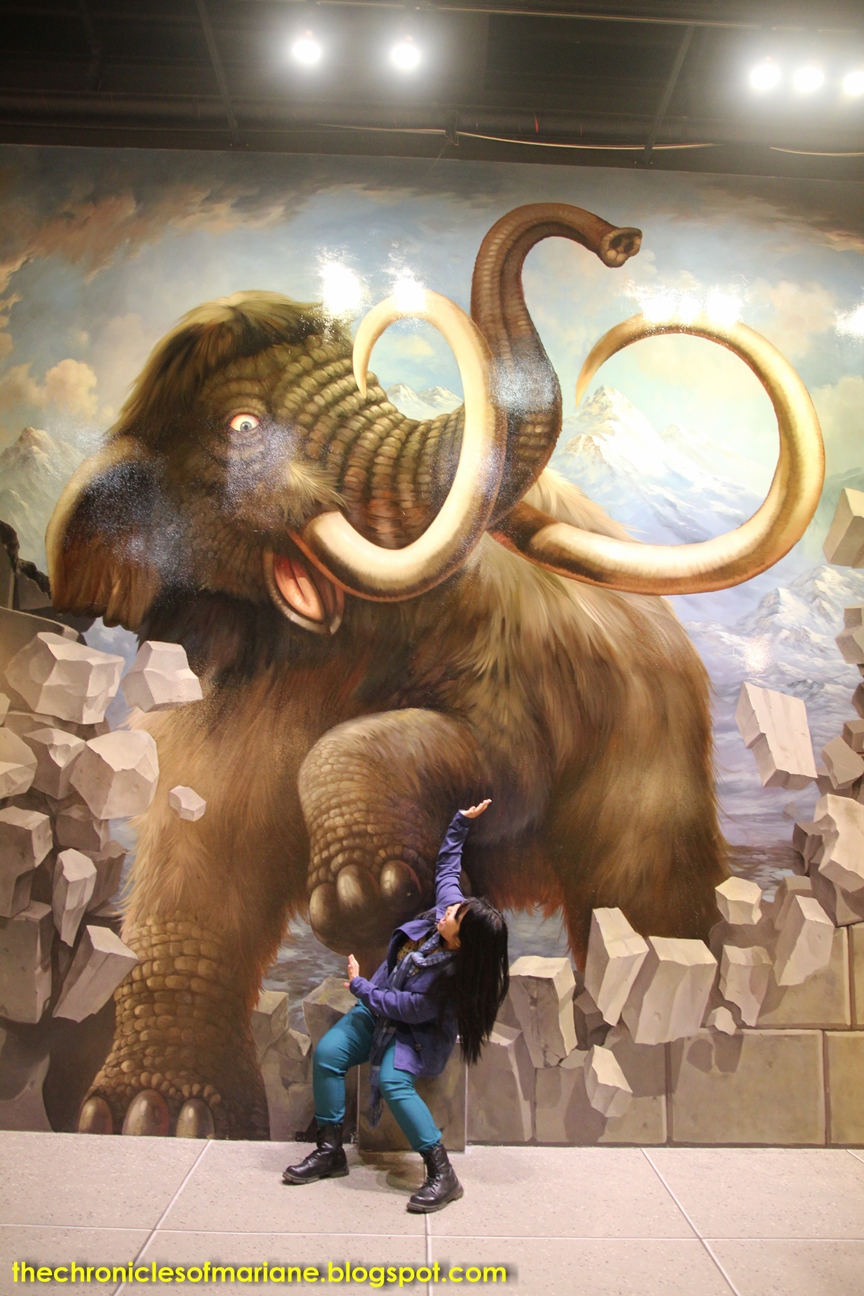 Trick Art Museum, Jeju - Day 12 in South Korea | The Chronicles of Mariane