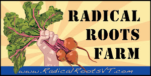 Radical Roots Farm Recipes: Broccoli Rabe