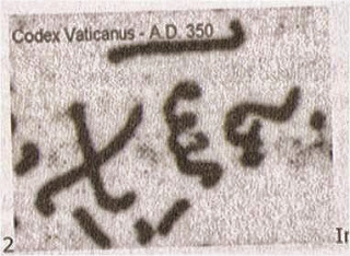 AMIGRACE FARM MINISTRIES: Raízes 17