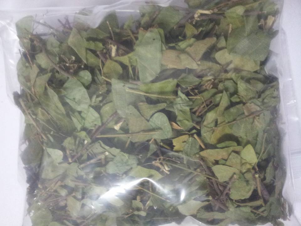Herba Adalah Penawar Pelbagai Penyakit. : DAUN RERAMA HIJAU ASLI ...
