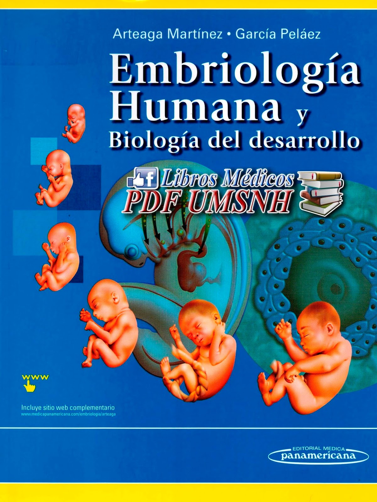 Libros Médicos PDF UMSNH: ARTEAGA - EMBRIOLOGÍA HUMANA Y BIOLOGÍA DEL ...