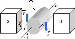 fisica perrona: fuerza y momento de torsion en un campo magnetico