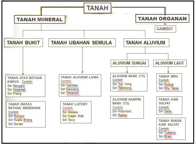 Tanah adalah sangat penting dalam hidup ini | ilmu pertanian