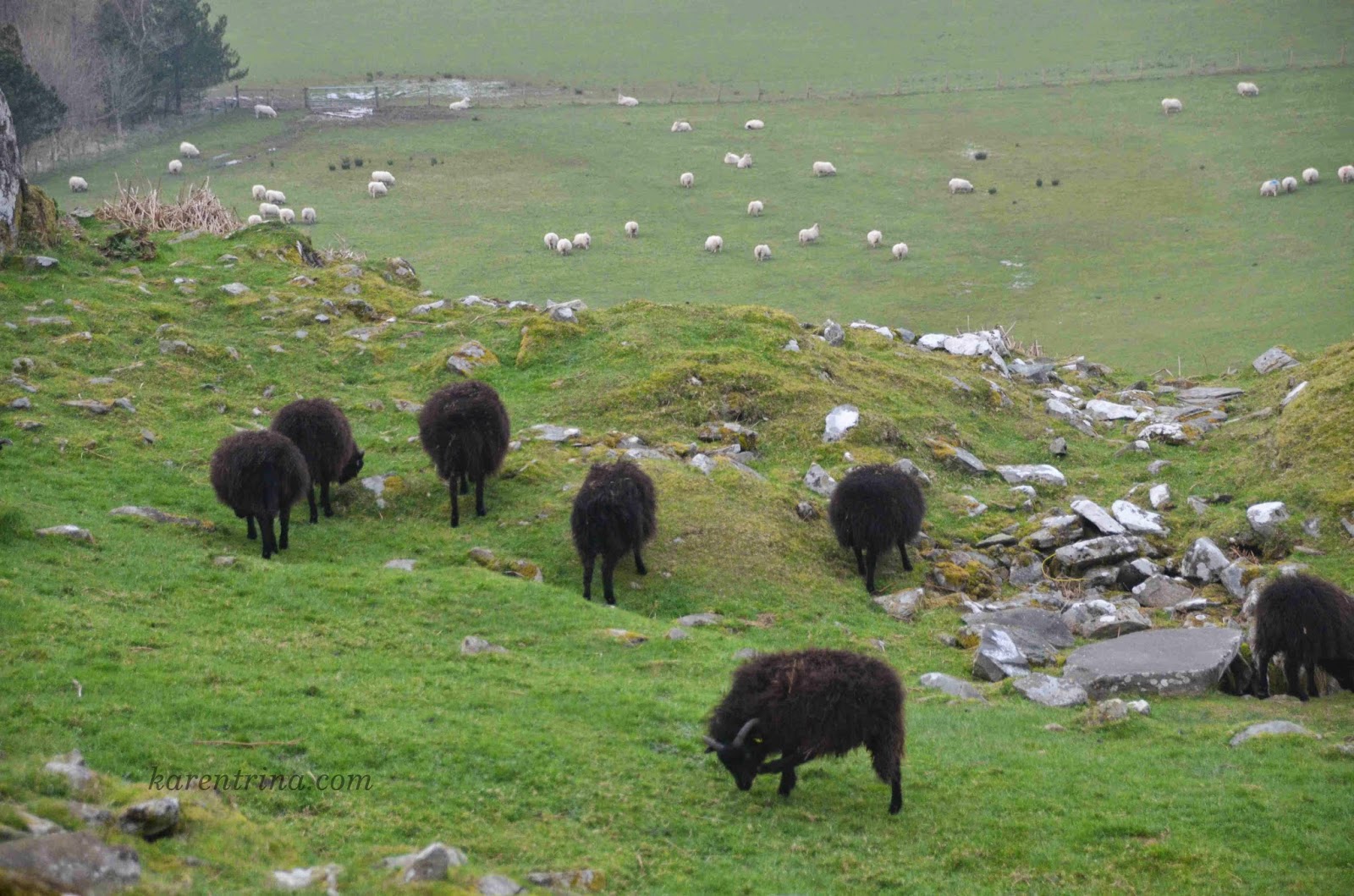 KarenTrina Childress : 12 Things People Don't Tell You About Visiting ...