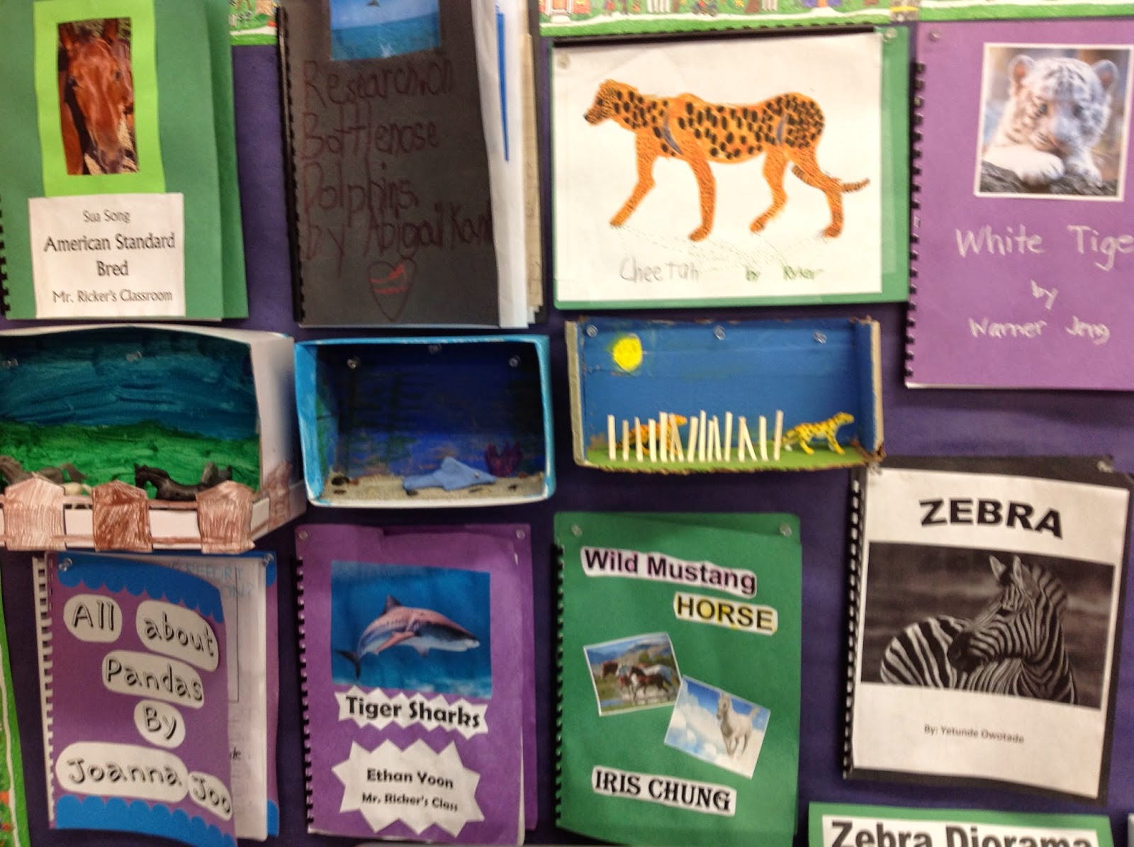 Animal Report and Diorama Projects