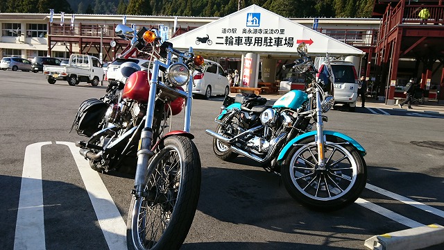 がるーだのターコイズ スポーツスター (garuda's turquoise sportster): 2016
