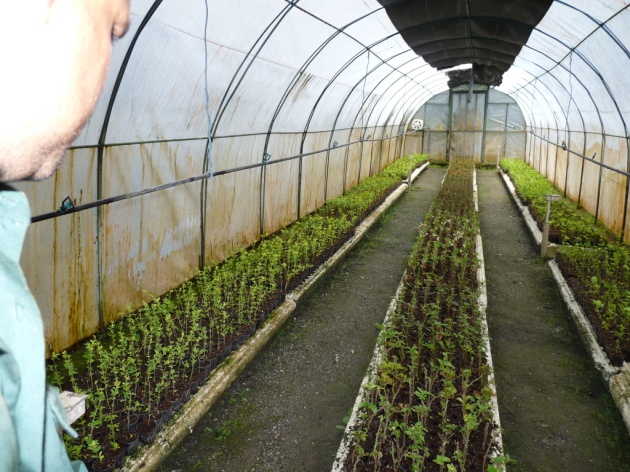 Parque Temático Bosque Macuto